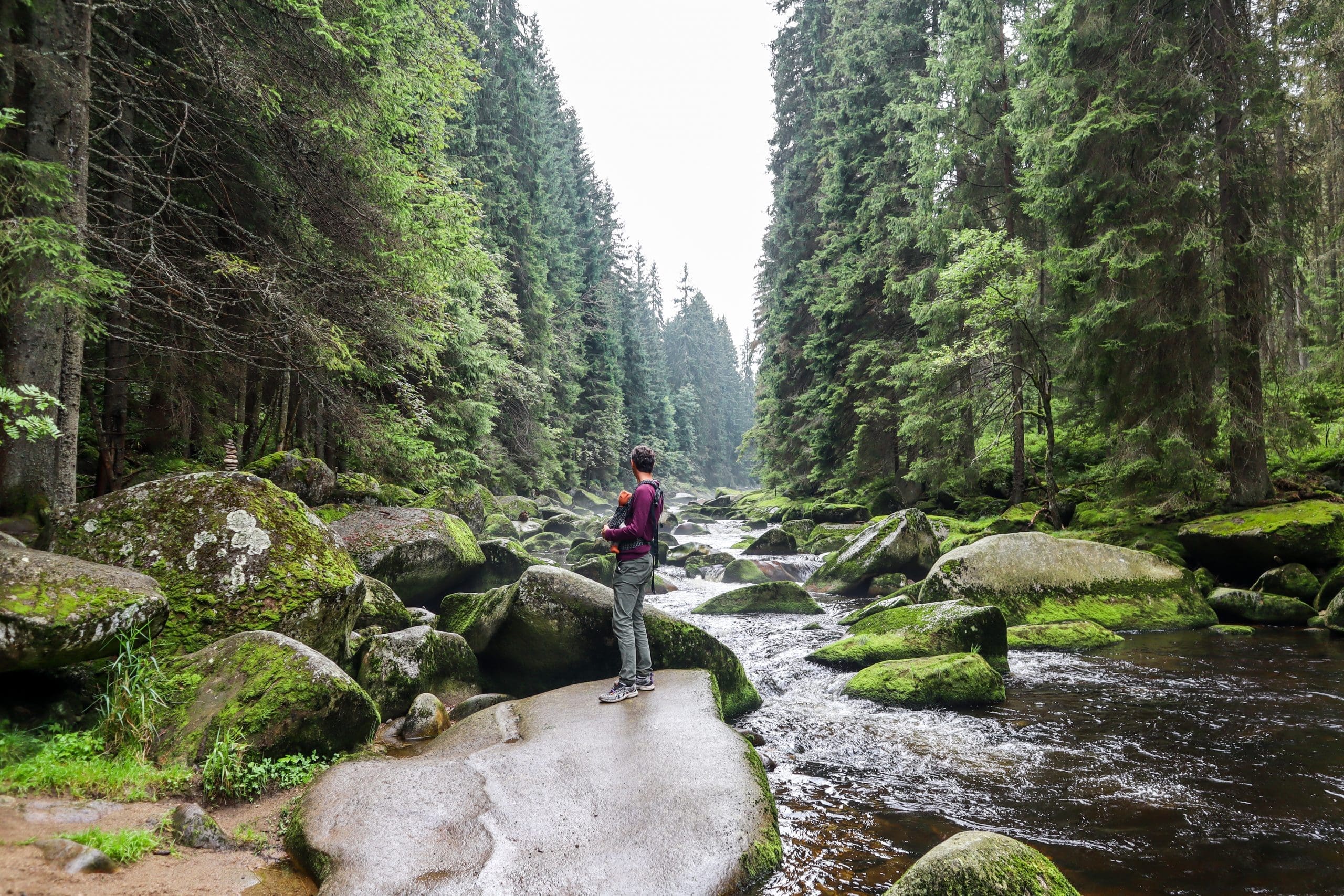 Bezoek Šumava National Park, het grootste park van Tsjechië - The ...